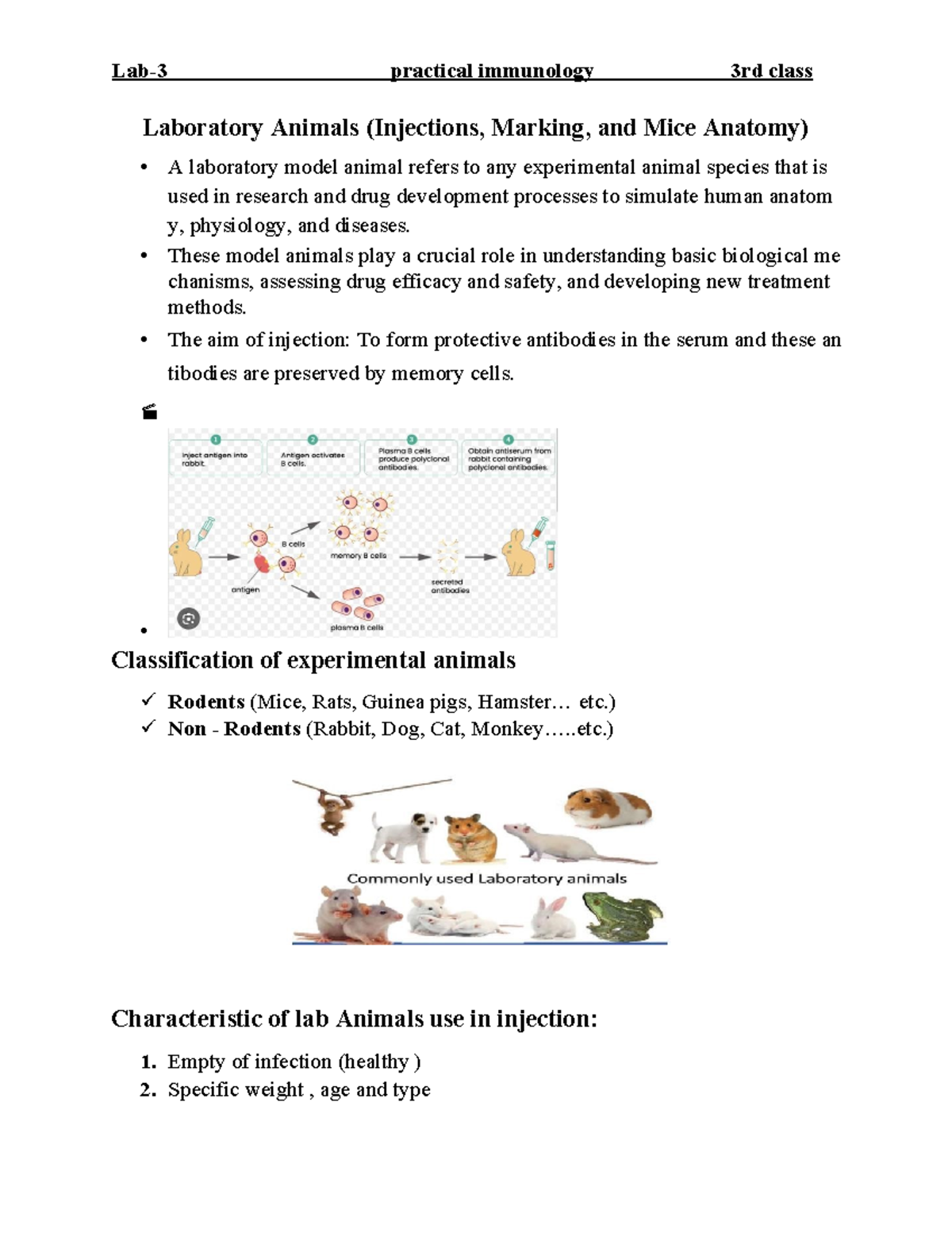Practical Immunology 3rd Class: Rat Dissection Techniques and Protocols - Studocu