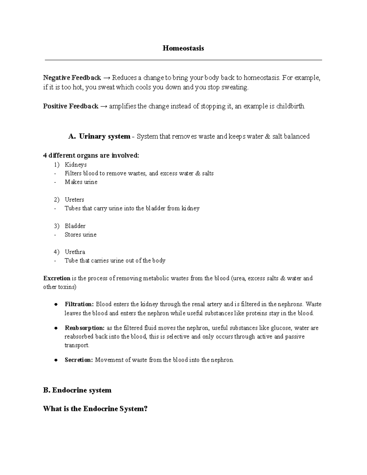 Biology Exam: Homeostasis & Endocrine System Overview - Studocu