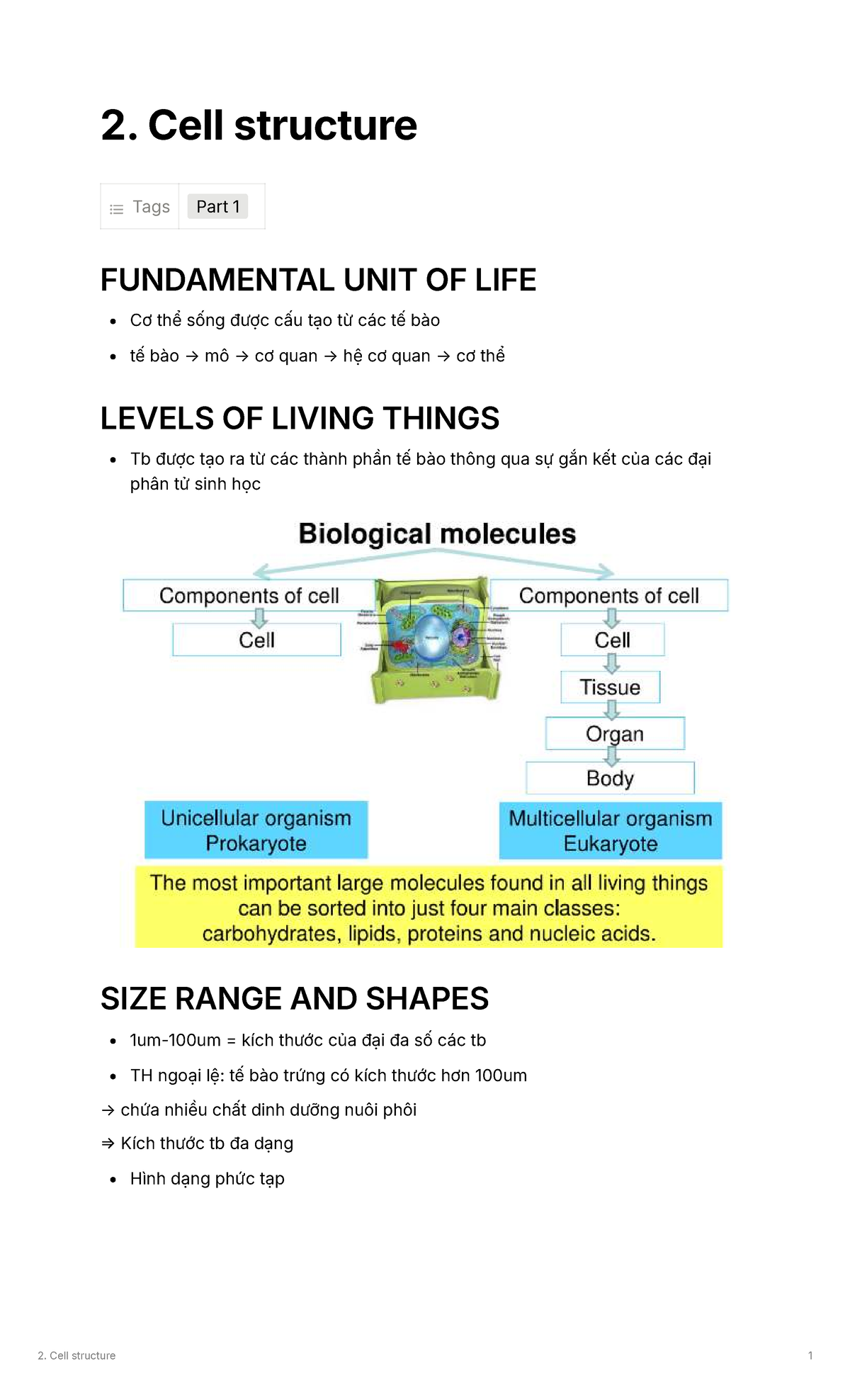 2. Cell Structure Overview: Fundamental Unit of Life (Biology 101 ...