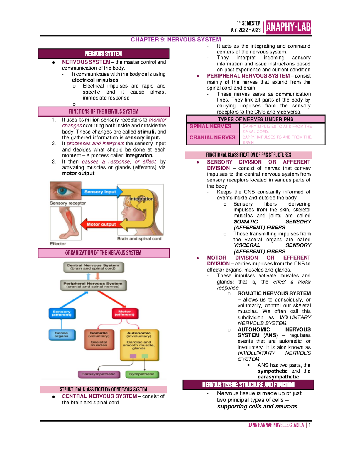 ANAPHY 1: Nervous System Overview Notes from Chapter 9 - Studocu