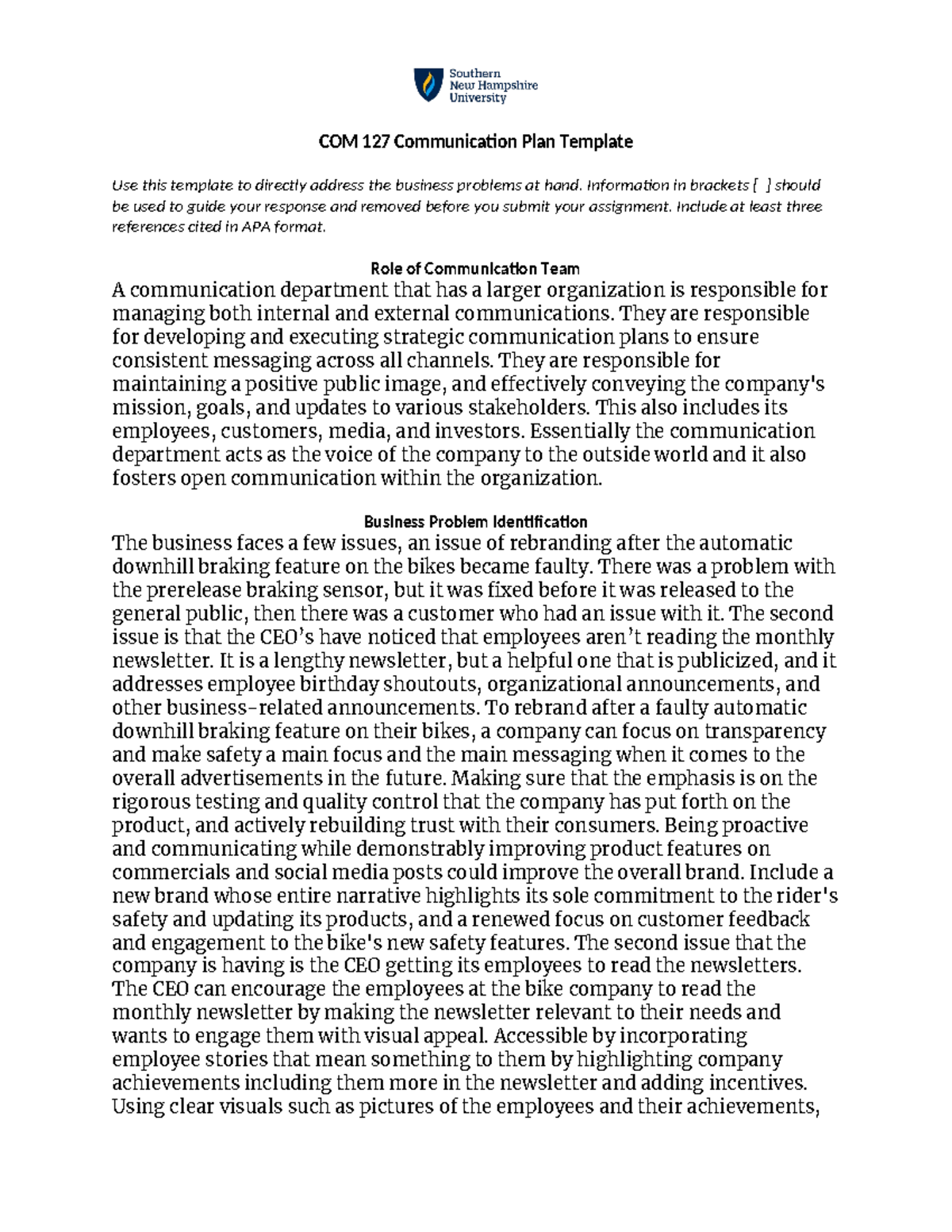 COM 127 Communication Plan Template - COM 127 Communication Plan ...