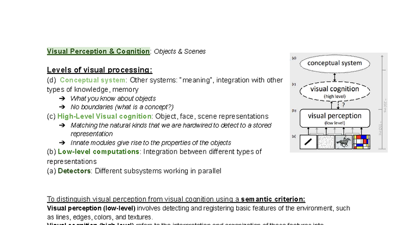 PSYC 364 - Lesson 6: Visual Perception & Cognition Insights - Studocu