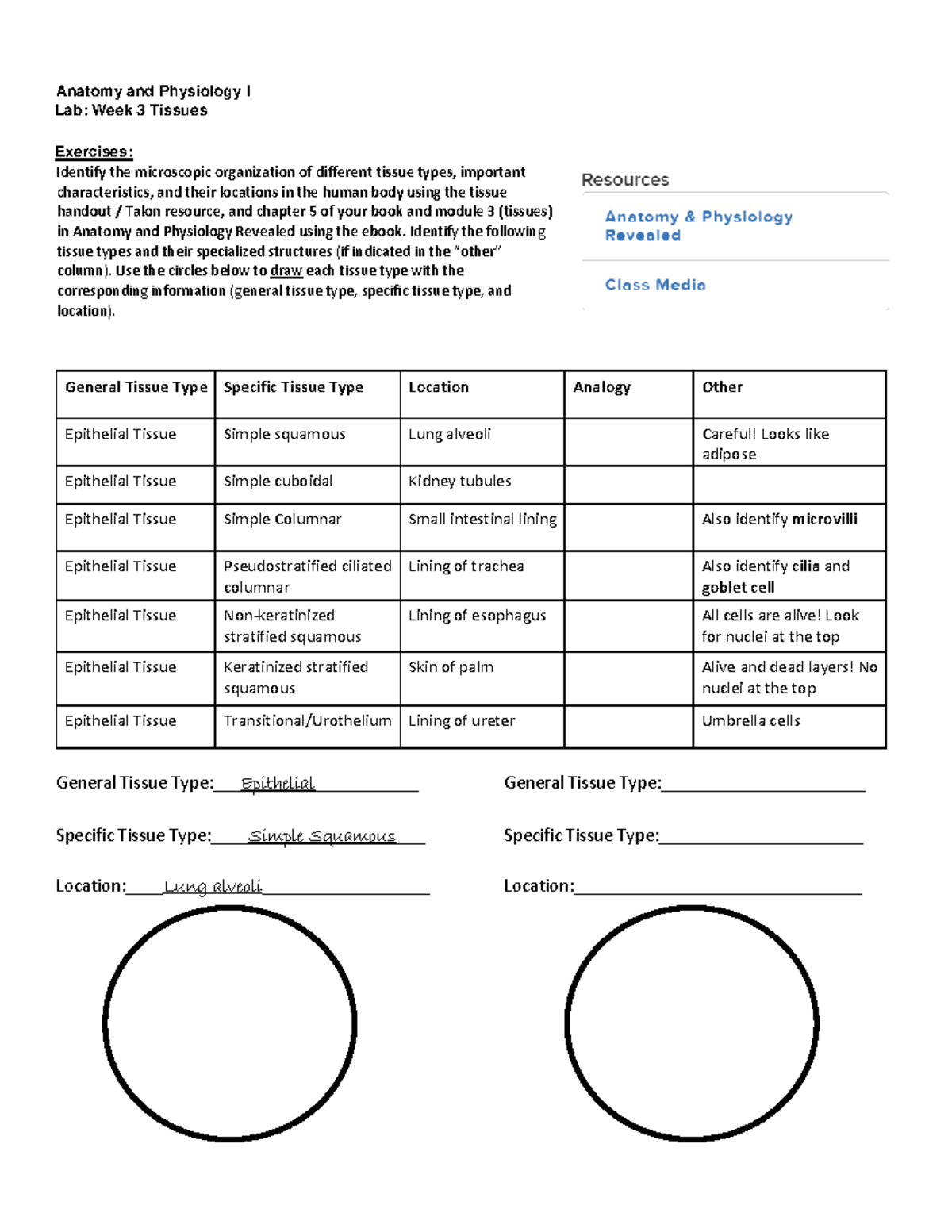 Anatomy and Physiology I Lab: Week 3 Tissue Identification Exercises ...