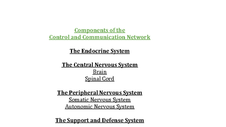 Control and Communication Network: The Endocrine & Nervous Systems ...