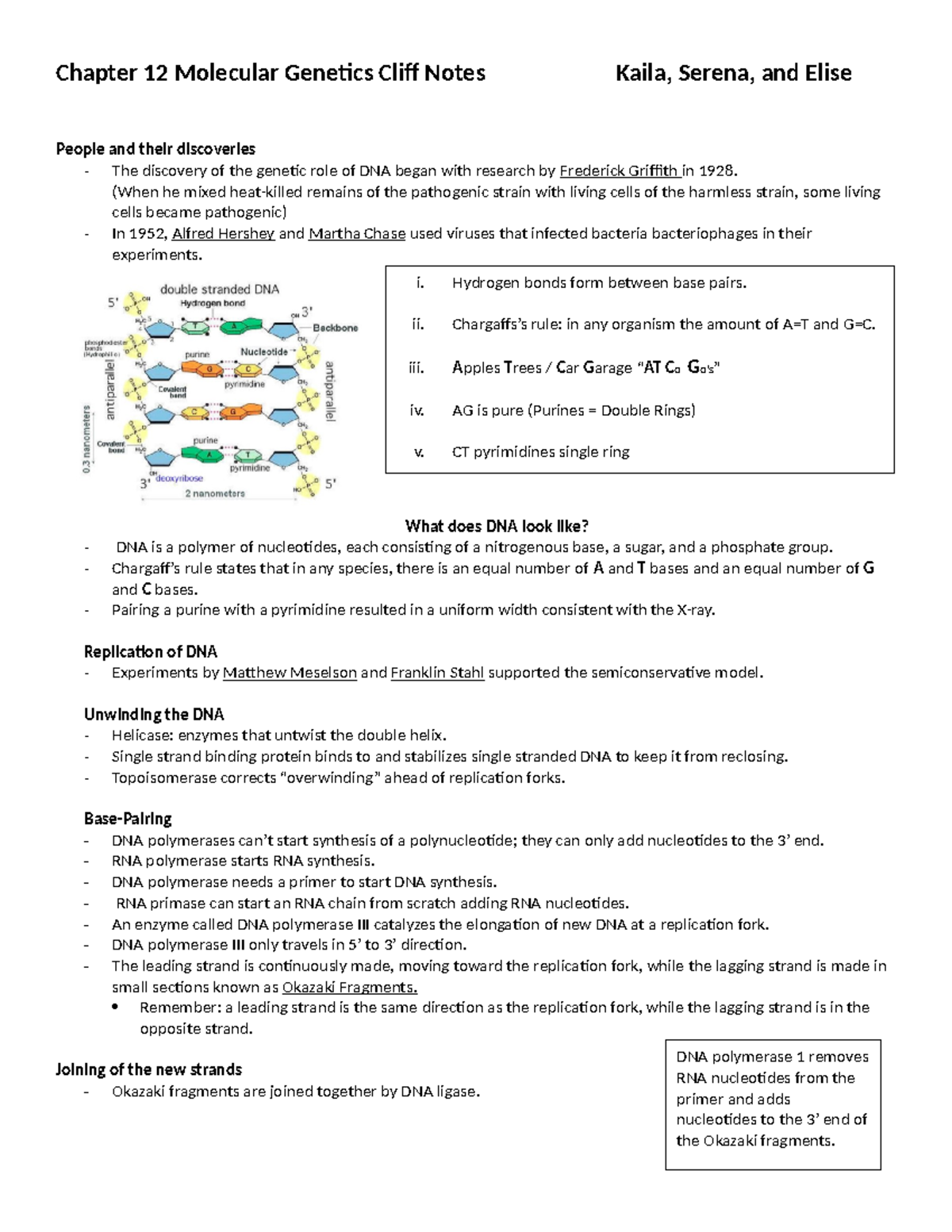Chapter 12 Molecular Genetics: Comprehensive Cliff Notes - Studocu