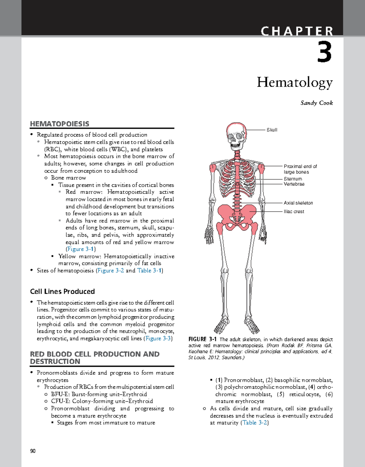 CHAPTER 3 Hematology: Hematopoiesis and Blood Cell Production Review ...