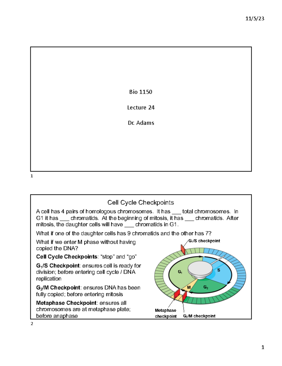 Lecture 24: Cell Division, Cycle Checkpoints, Apoptosis - Bio 1150 ...