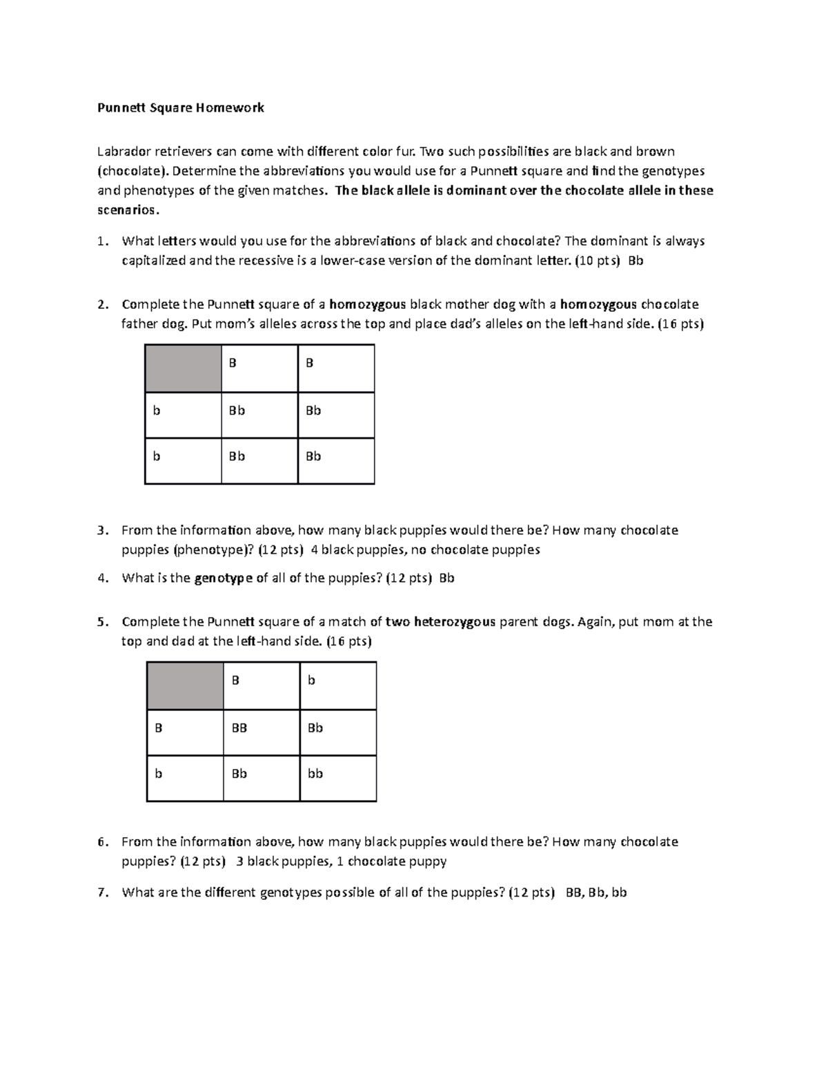 Punnett Square Homework: Color Genotypes of Labrador Retrievers - Studocu
