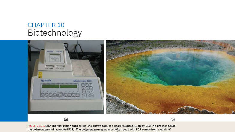Biotechnology: Cloning, Genetic Engineering, and Genomics (CHAPTER 10 ...