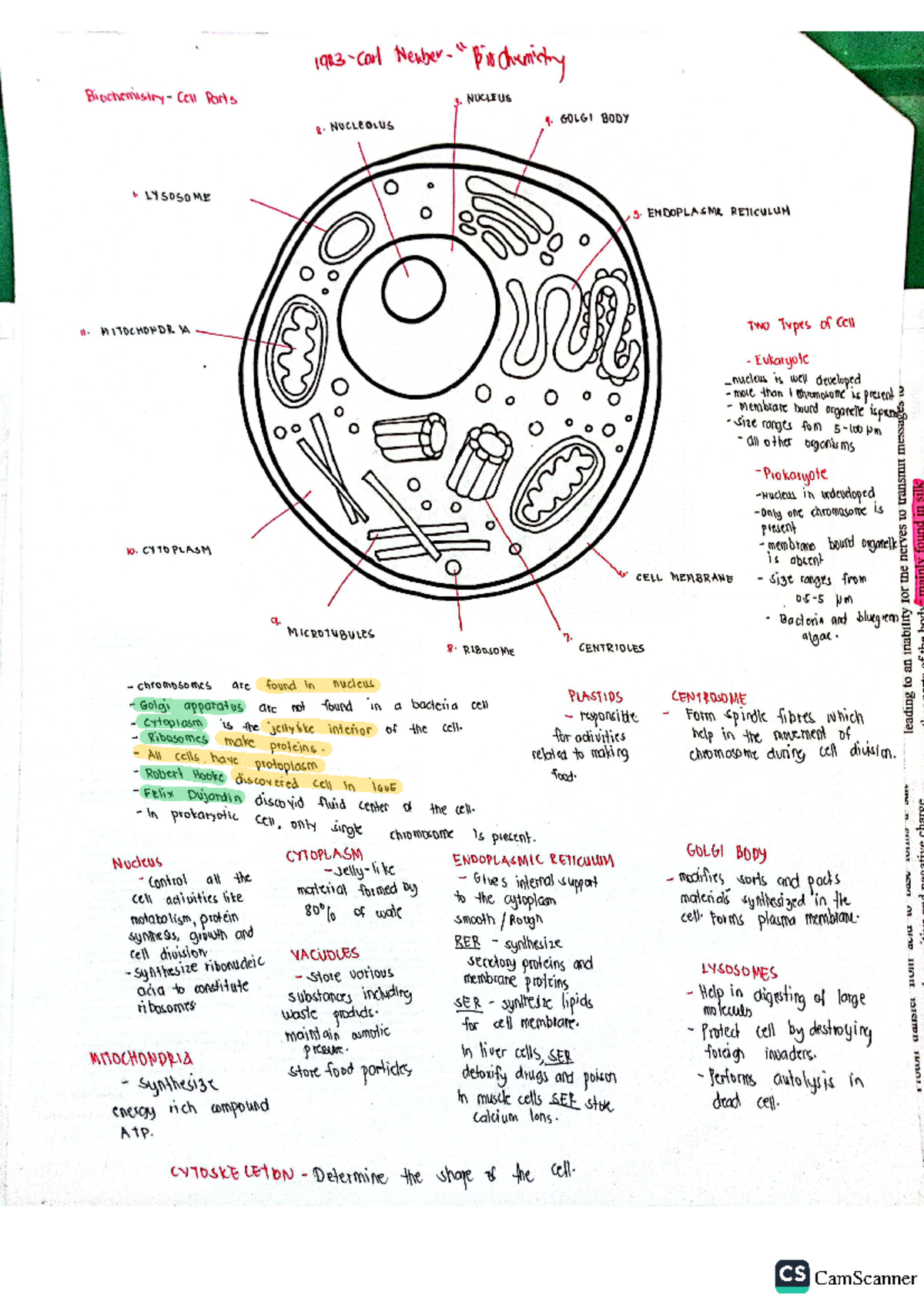 ND Biochemistry - Cell Organelles and Lipid Functions Overview - Studocu