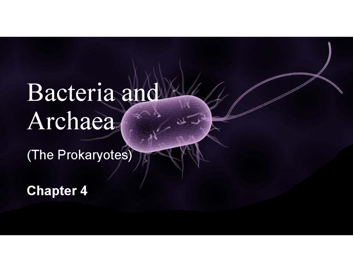 Bacteria and Archaea (BIOL 101) Chapter 4: Key Concepts and ...