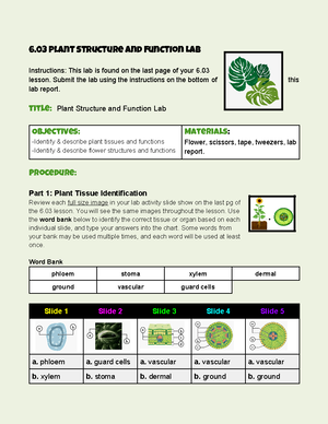 5.02 Natural Selection Virtual Lab Report - 5 Natural Selection Virtual ...