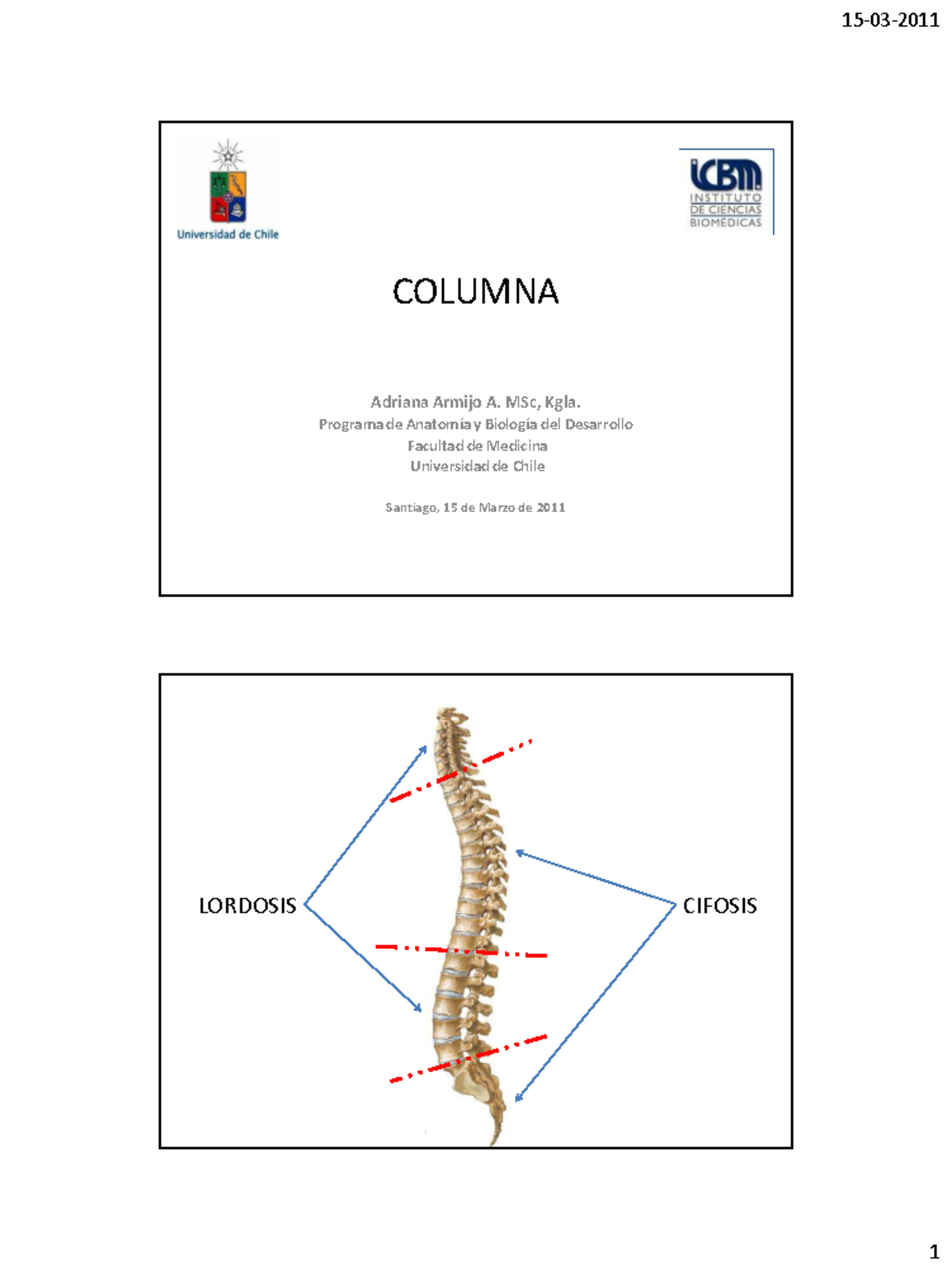 Columna - Leaaaaa - COLUMNA Adriana Armijo A. MSc, Kgla. Programa de ...