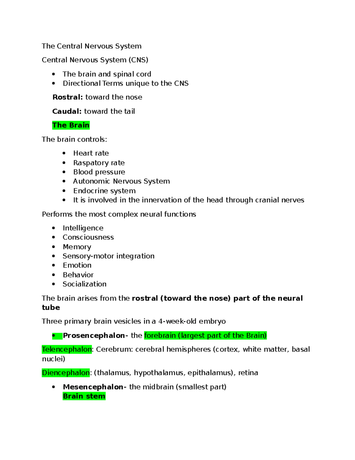 CNS 101: Overview of Central Nervous System Anatomy & Functions - Studocu