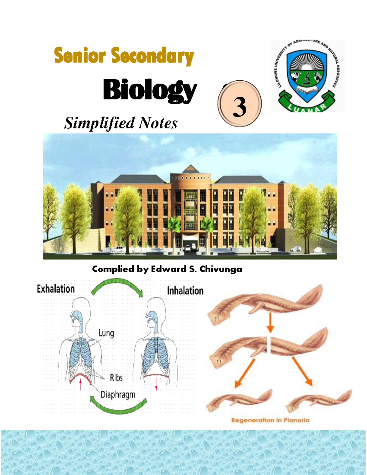 Senior Secondary Biology S3 Simplified Notes by Edward S. Chivunga ...
