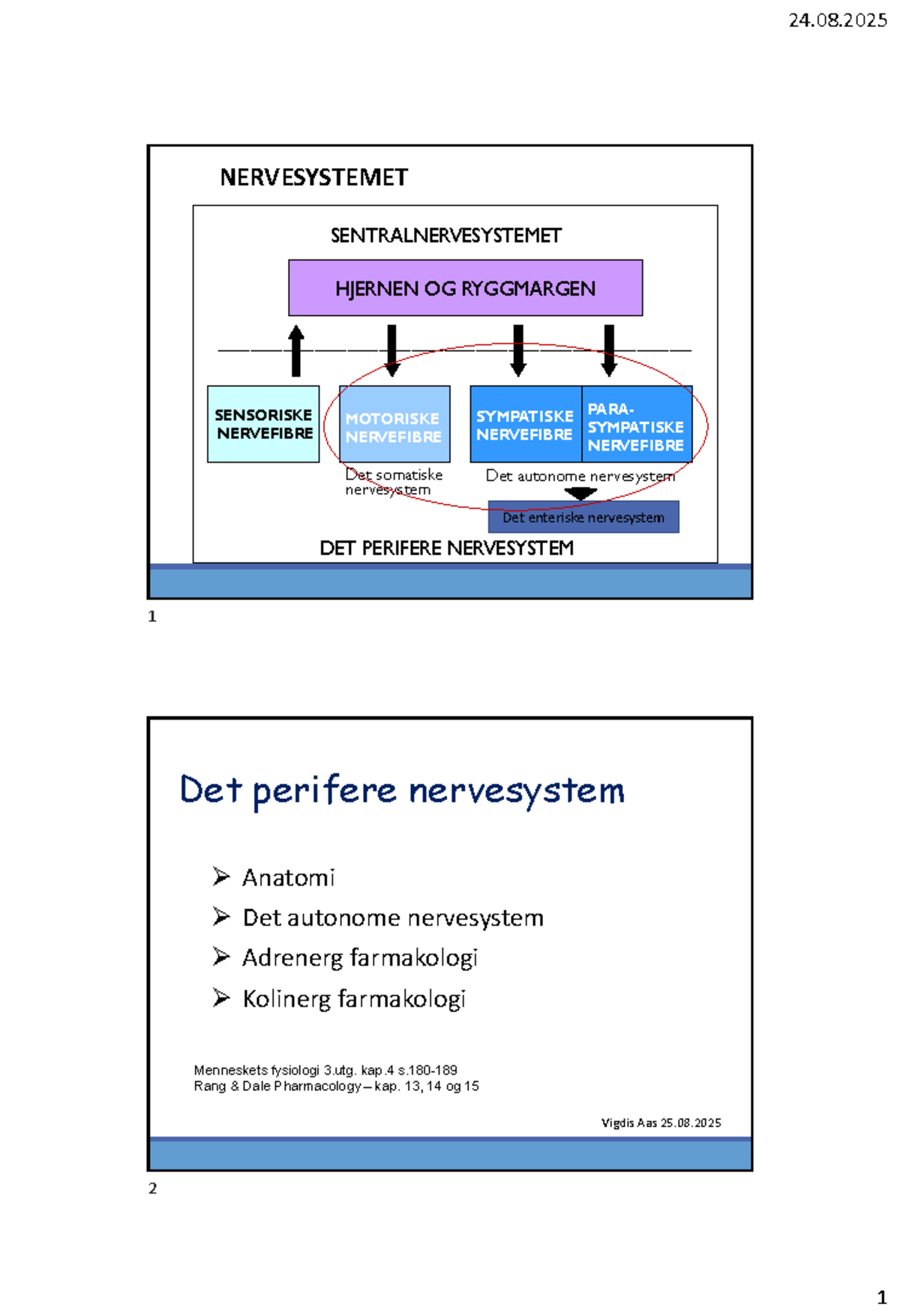 Det perifere nervesystemet: Anatomiske og funksjonelle aspekter H25 ...
