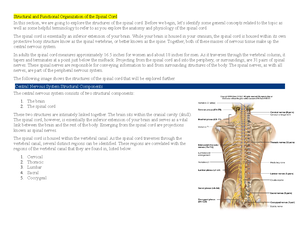 BIOS251 W5 Lab - Week 5 lab worksheet - Week 5 Lab Instructions ...