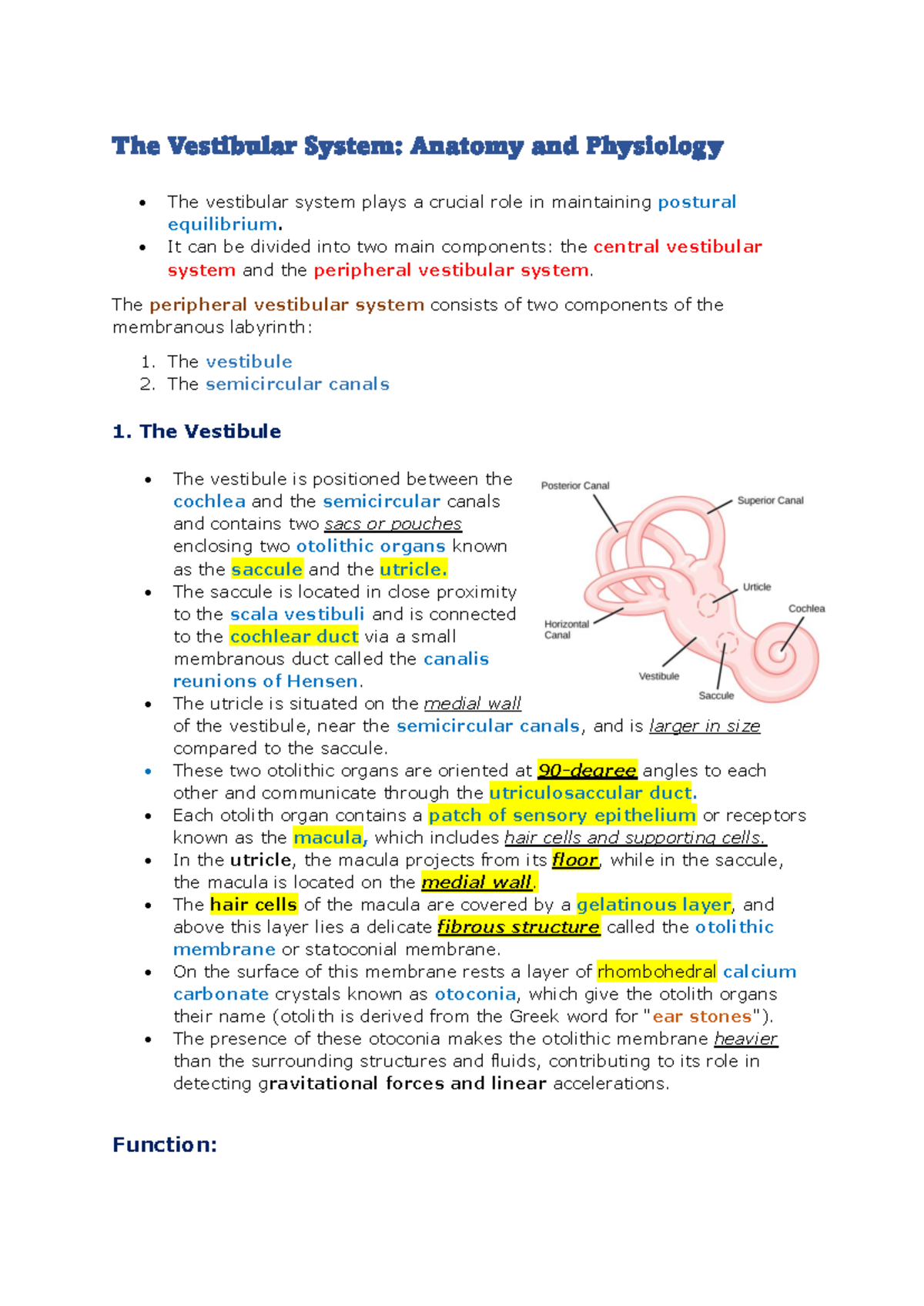 Anatomy & Physiology of the Vestibular System: A Comprehensive Overview ...