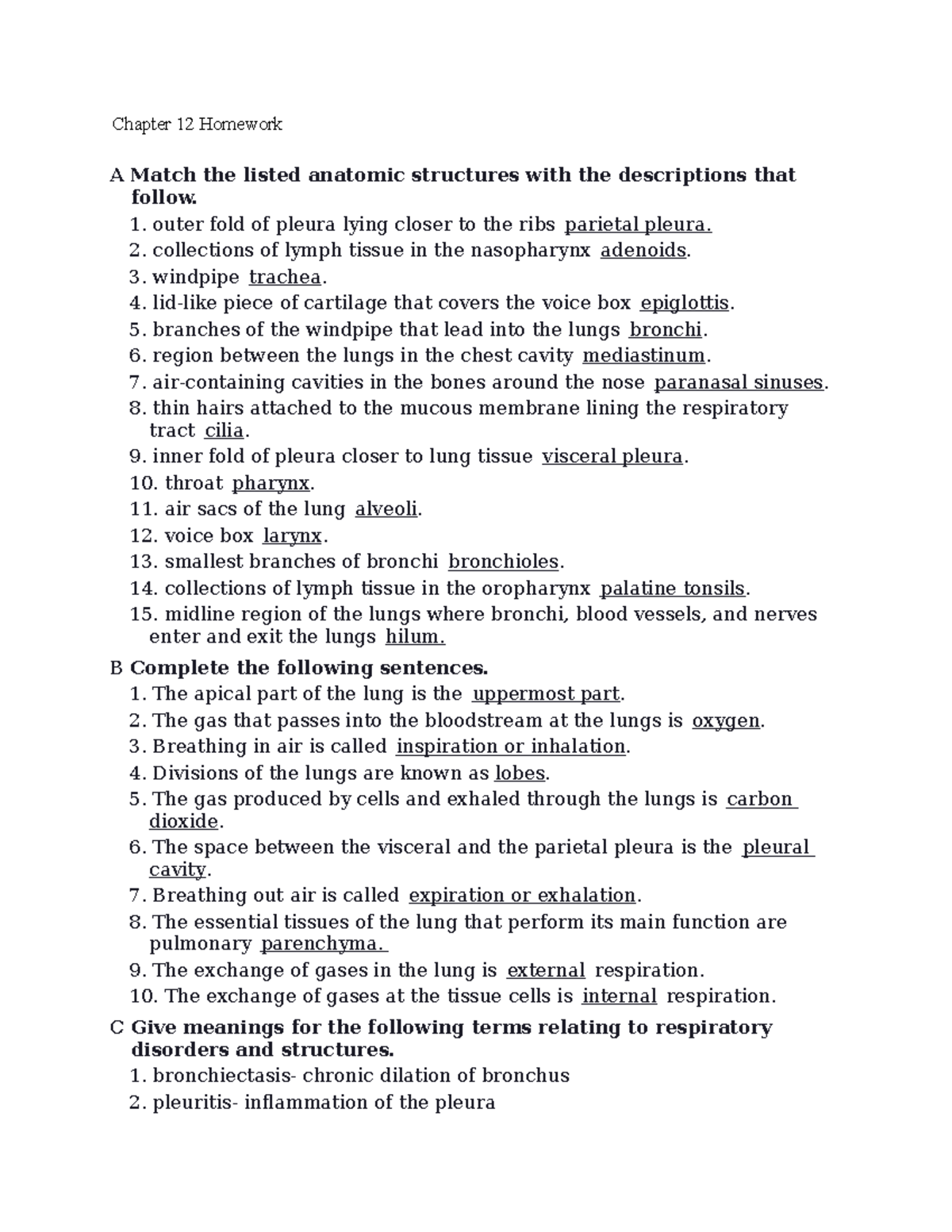 Ch 12 - Respiratory System Homework and Terms Review - Studocu
