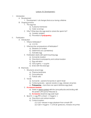 Bio 2 Exam 2 PQ - practice question - Correctly sequence the stages of ...