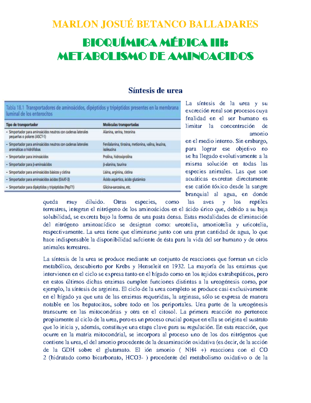 Bioquímica III: Guía III - Metabolismo de Aminoácidos y Síntesis de ...