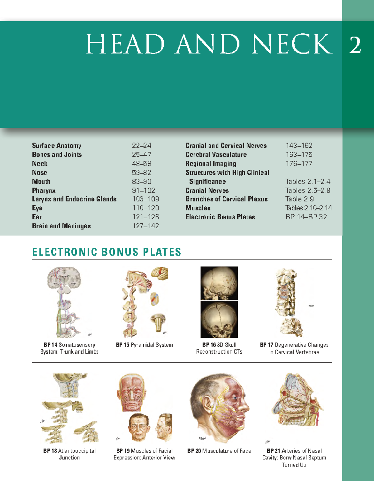HEAD AND NECK 2: Comprehensive Atlas of Surface Anatomy and Structures ...