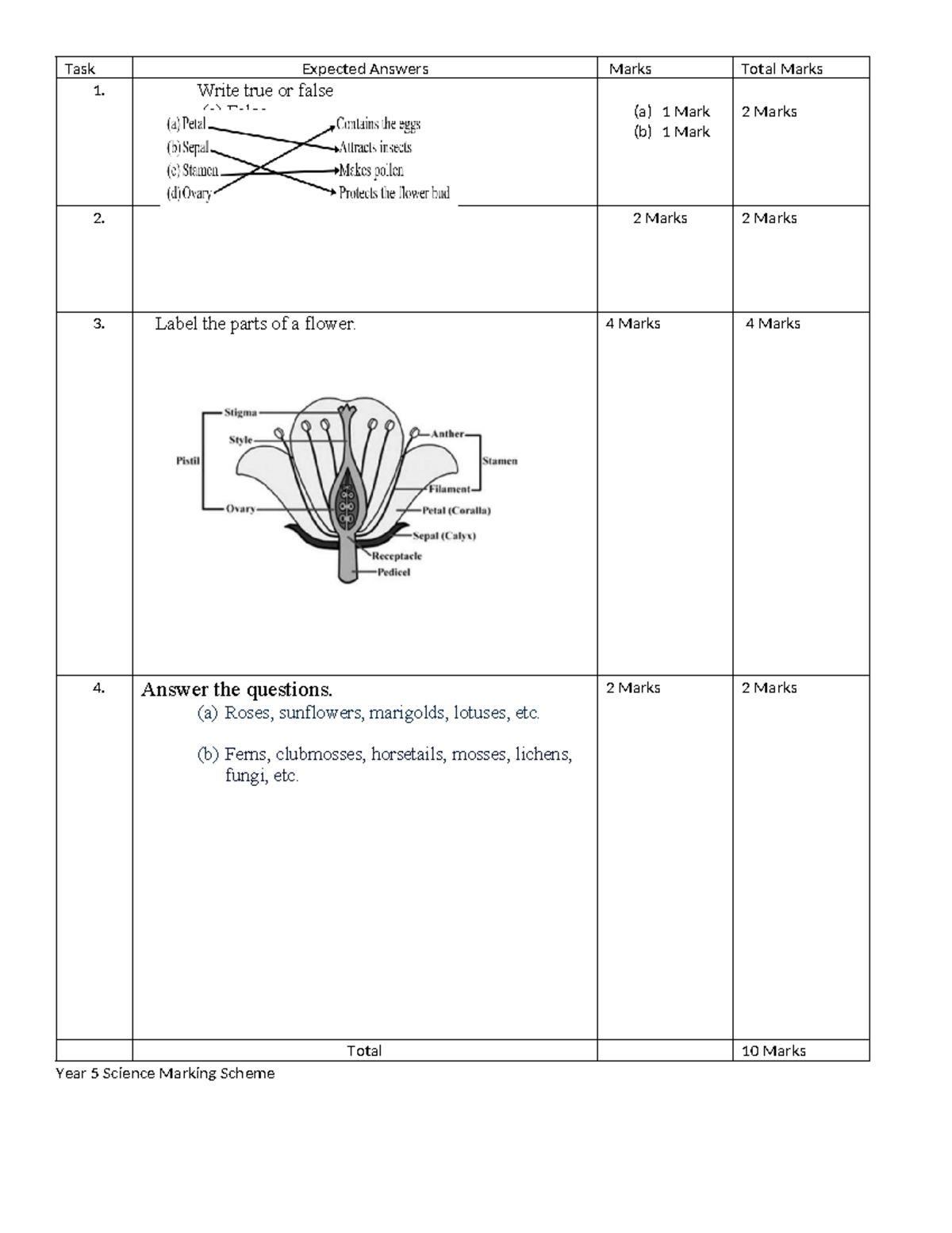 Year 5 Science Marking Scheme - Bachelor of Science (BSc) - Task ...