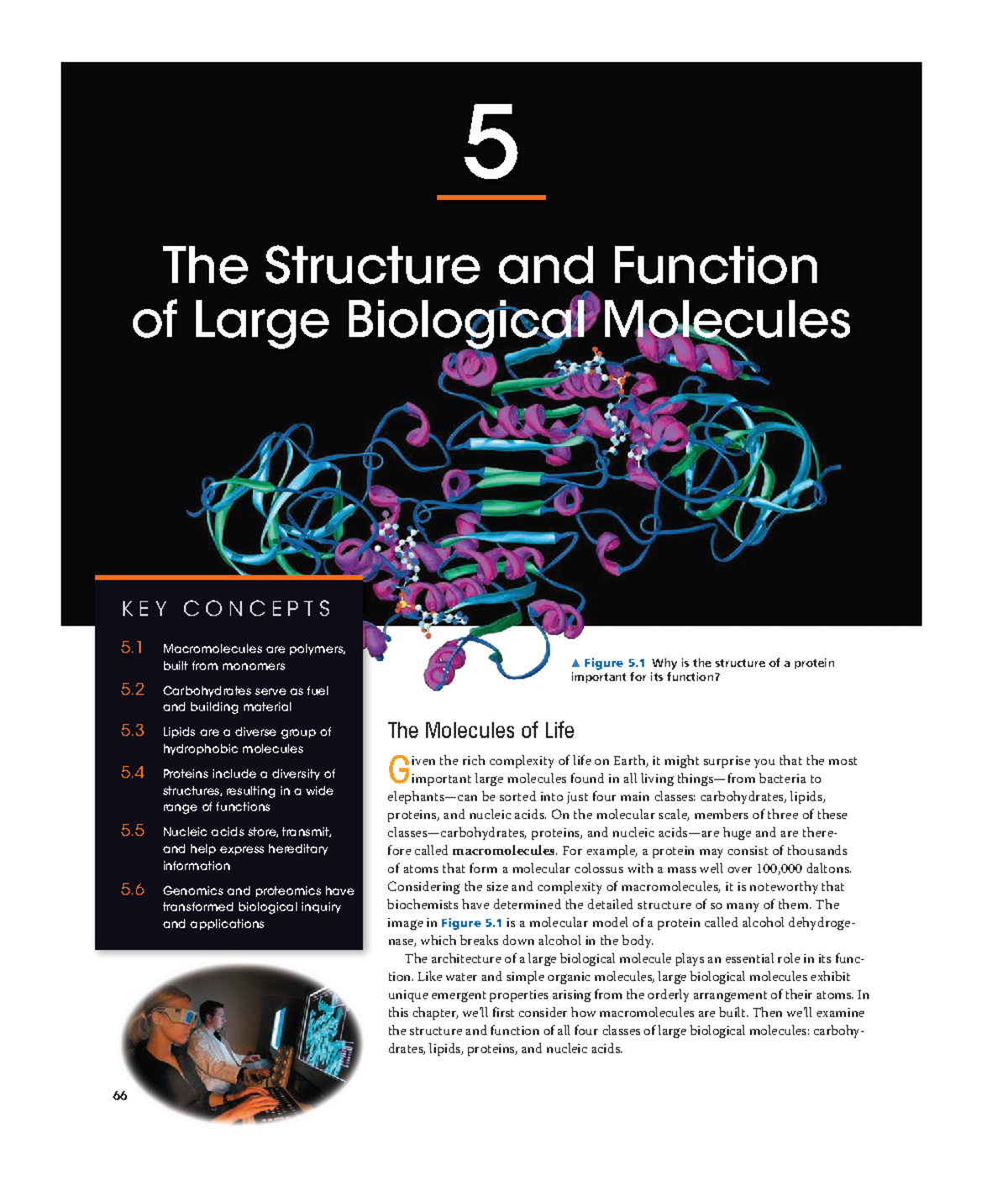 The Structure and Function of Large Biological Molecules (Chapter 5 ...