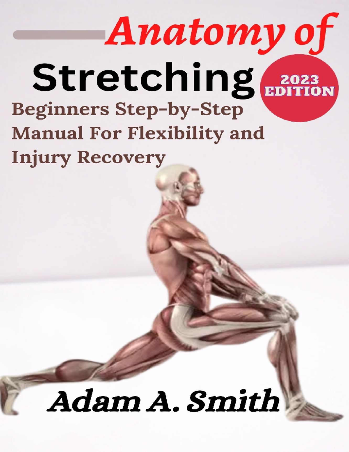 ANATOMY OF STRETCHING: A Beginner's Guide to Flexibility & Recovery ...