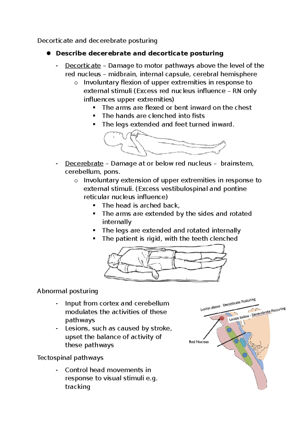 C20 Decorticate and decerebrate posturing - Decorticate and decerebrate ...