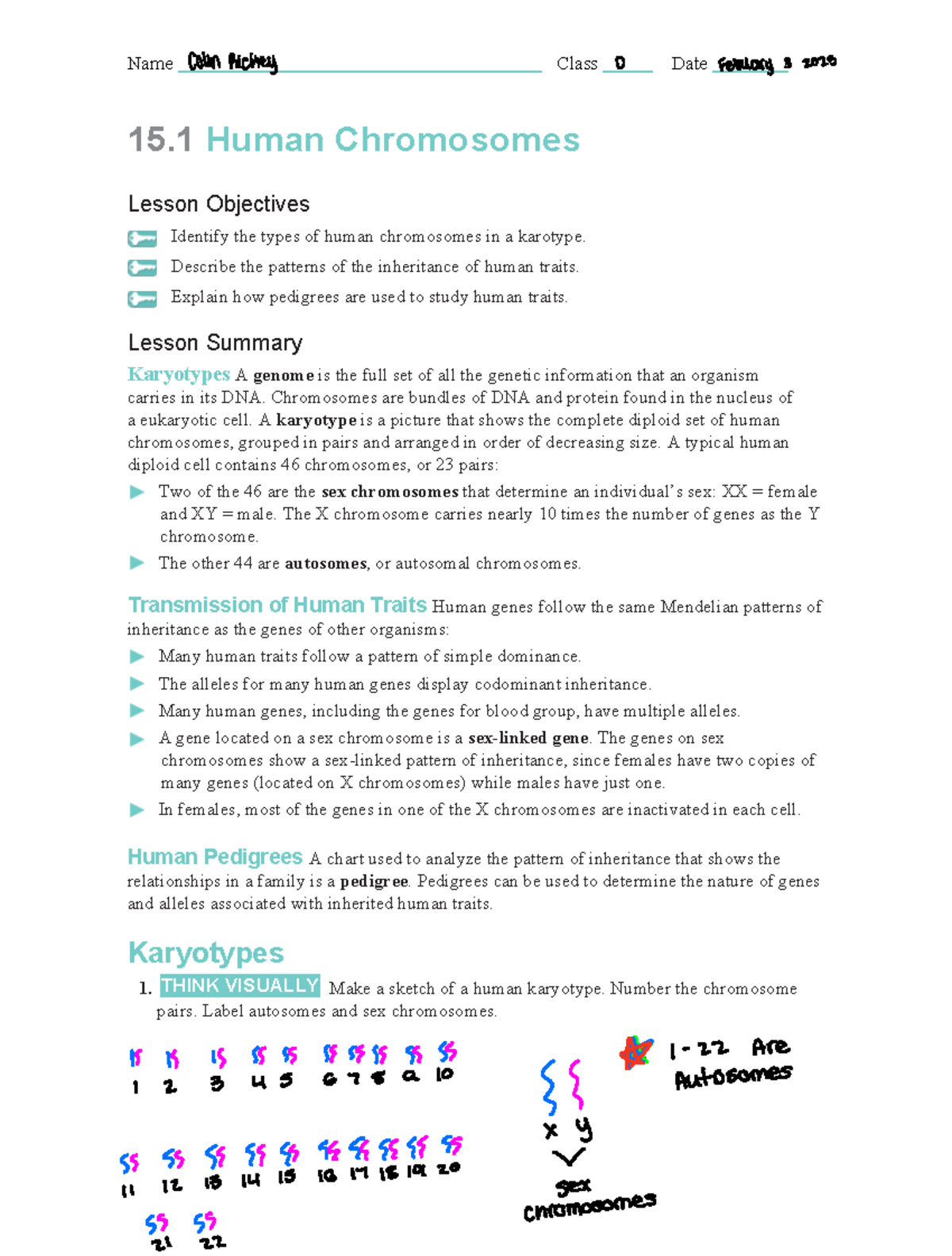 15 - This is a very helpful sheet of paper - 1 5. 1 Human Chromosomes ...