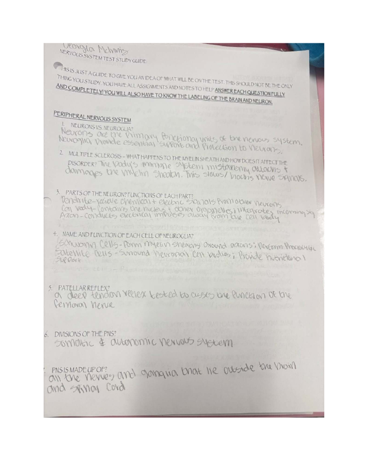 Nervous System Test Study Guide: Key Concepts & Notes - Studocu