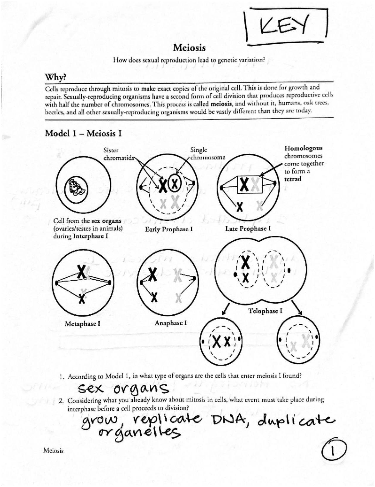 Midterm Study Notes for Course XYZ 101: Key Concepts and Review - KEY ...
