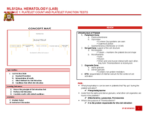 Cardiovascular system histology - Chapter 9 - Cardiovascular System The ...