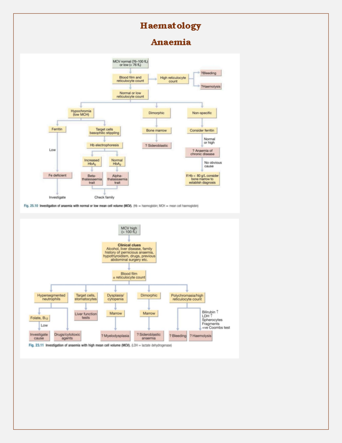 Haematology Lecture 1: Iron Deficiency Anaemia Insights and Management ...