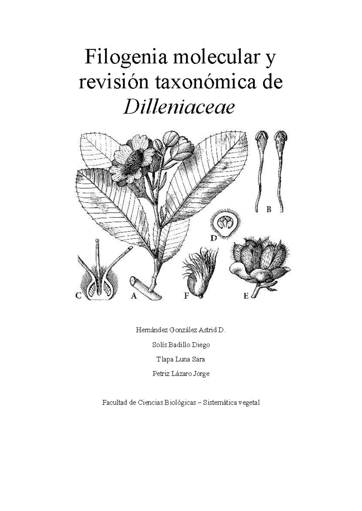 Filogenia Molecular y Taxonomía de Dilleniaceae (Biología 101) - Studocu