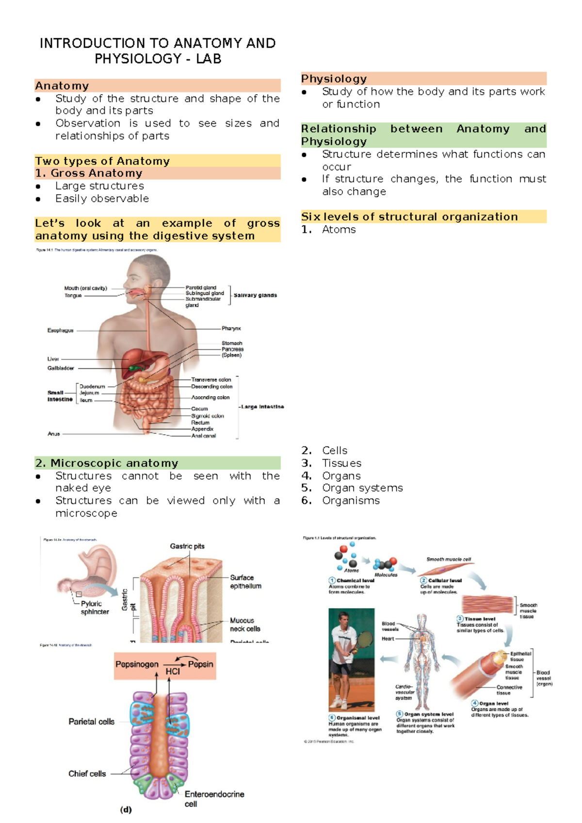 Anatomy & Physiology Lab Notes (Course Code: A&P101) - Introduction ...