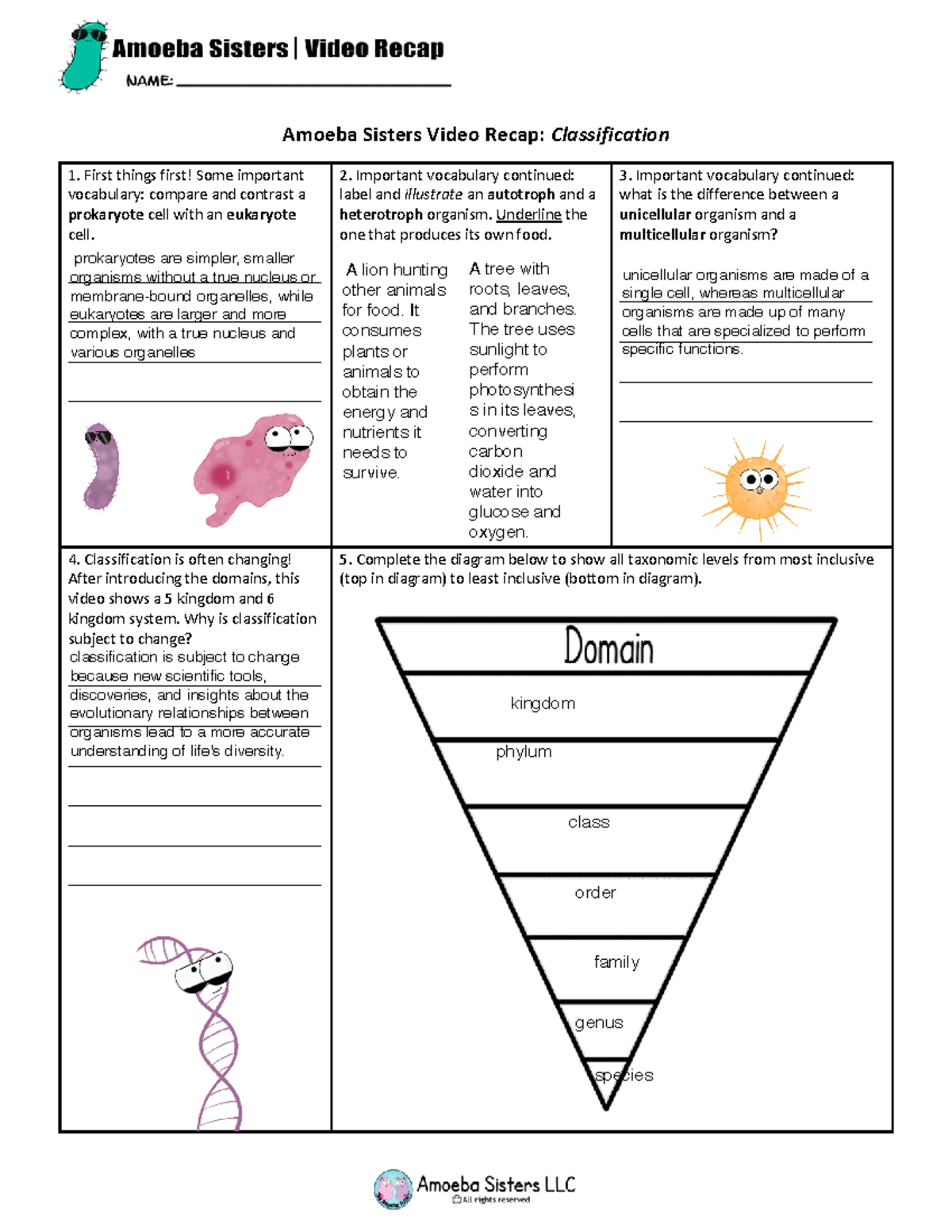 Amoeba Sisters Video Recap: Classification Concepts and Vocabulary ...
