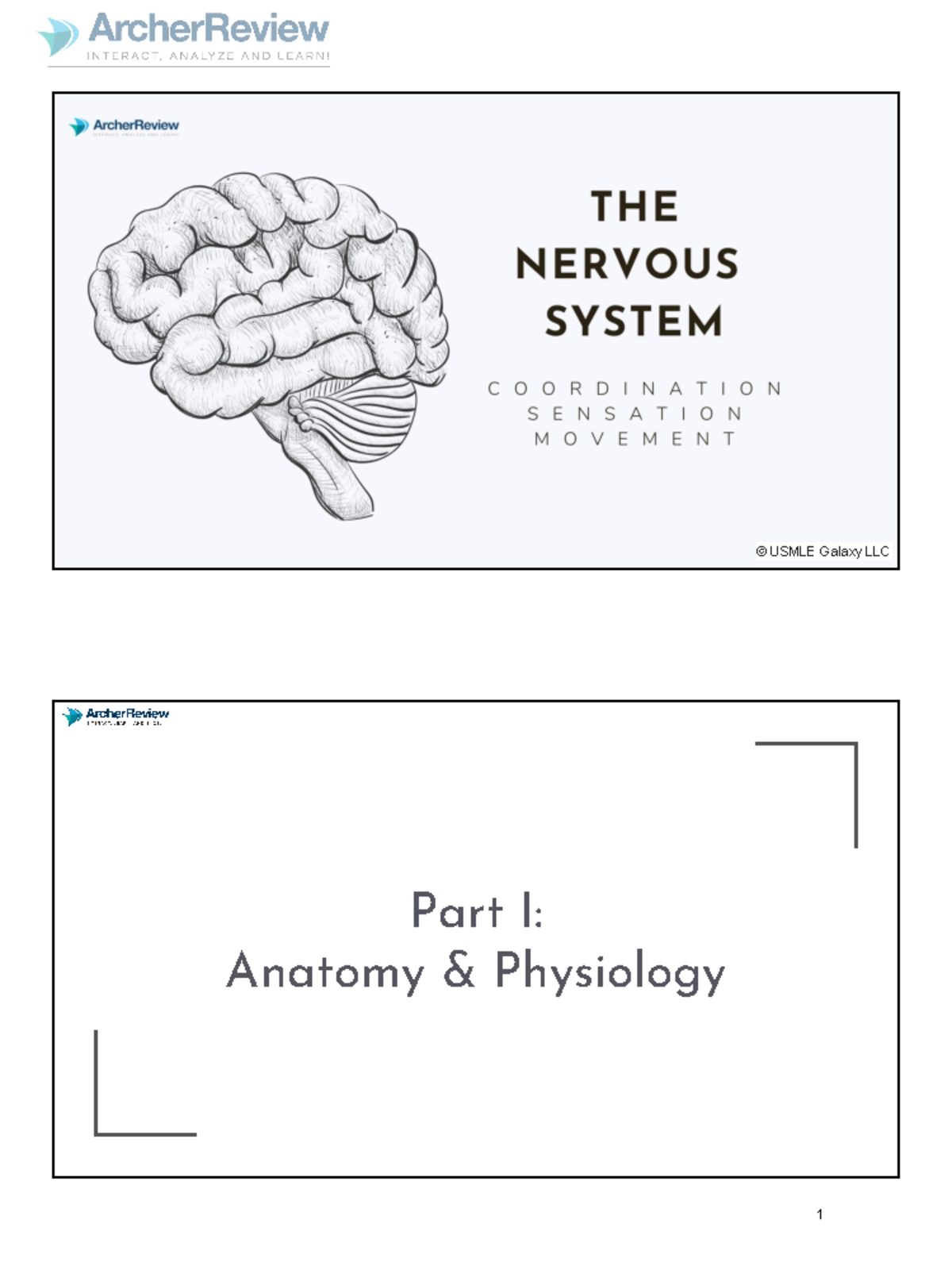 Nervous System Overview - Anatomy, Assessments & Pharmacology (NUR 101 ...
