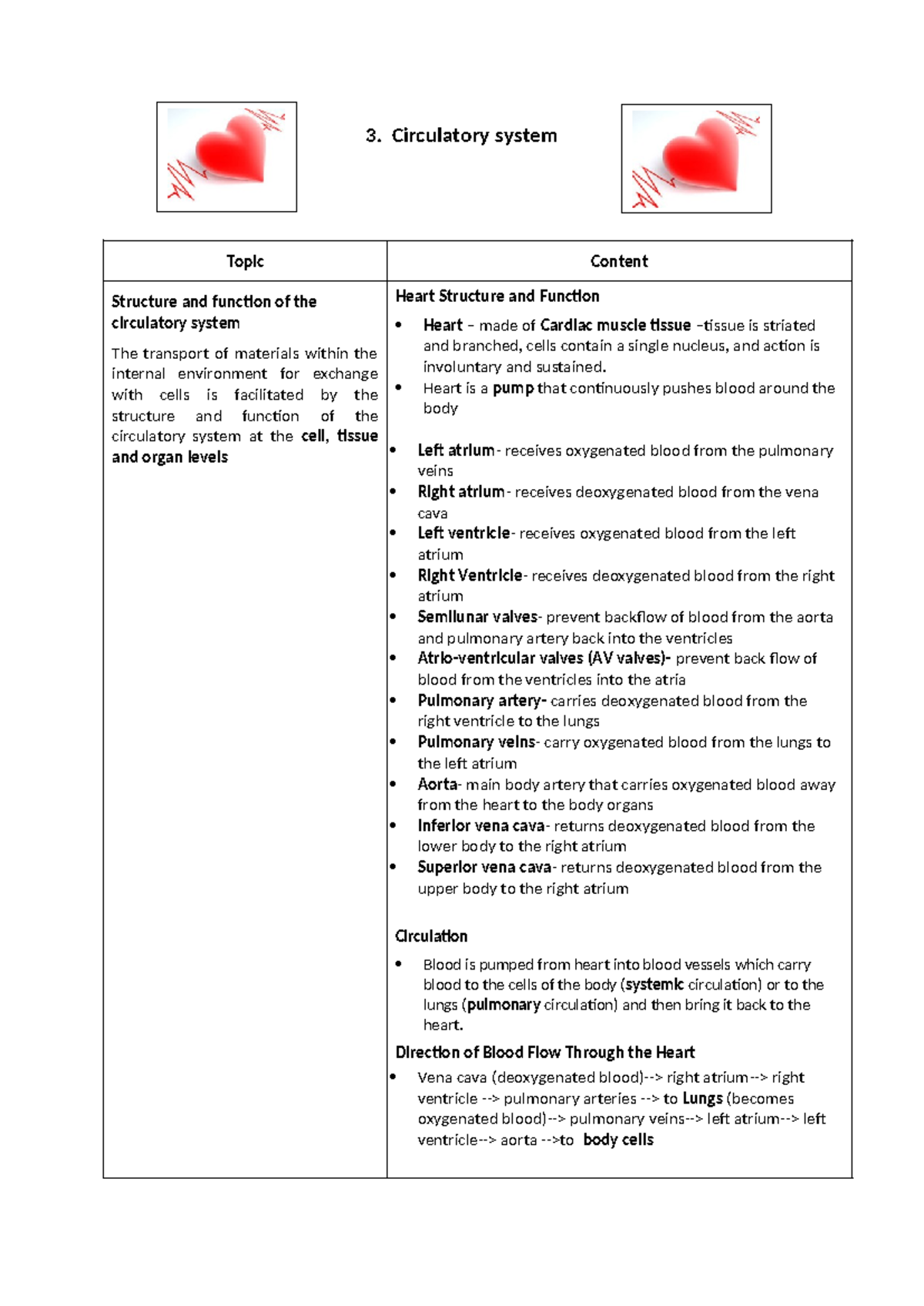 3. Circulatory System: Structure & Function Overview (2025) - Studocu