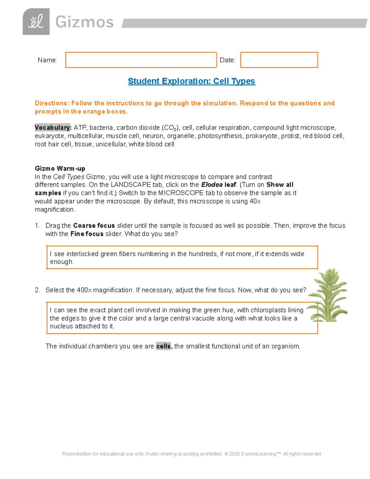 Cell Types Exploration SE: Discovering Microscopes & Organisms - Studocu