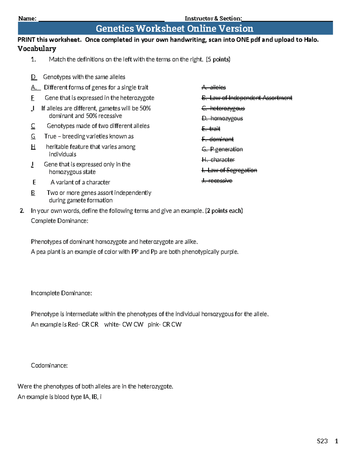 9 Genetics Punnett Square wkst Online version - Genetics Worksheet ...