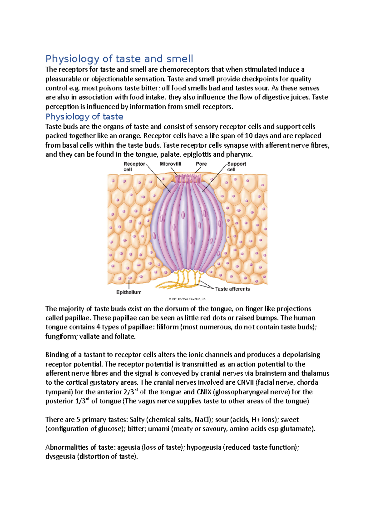 Physiology of Taste and Smell: Key Concepts and Functions - Studocu