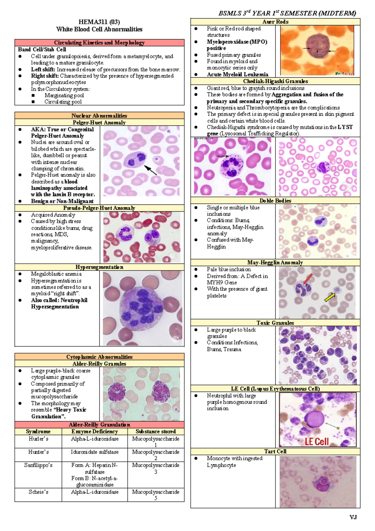 HEMA311 (03) Midterm Study on White Blood Cell Abnormalities - Studocu