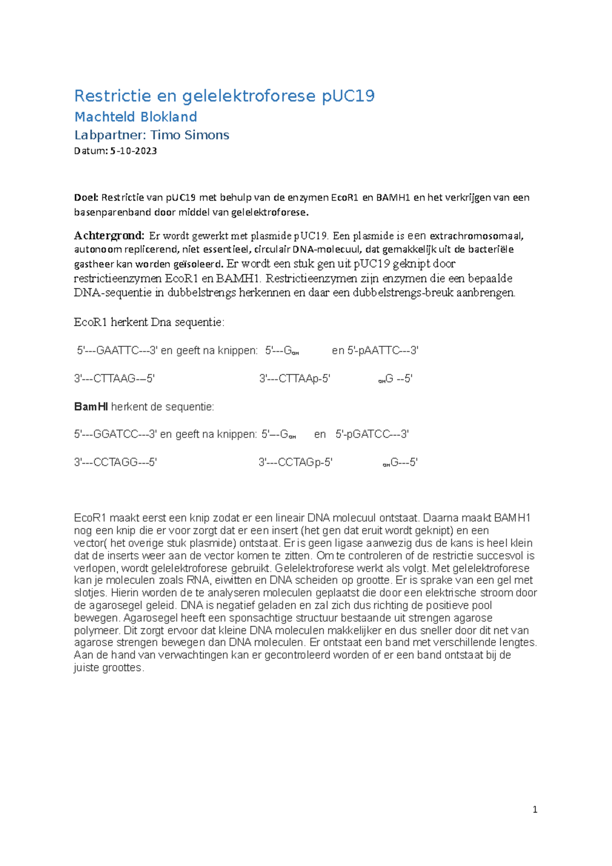Labjournaal: Restrictie en Gelelektroforese van pUC19 - UC19 - Studeersnel