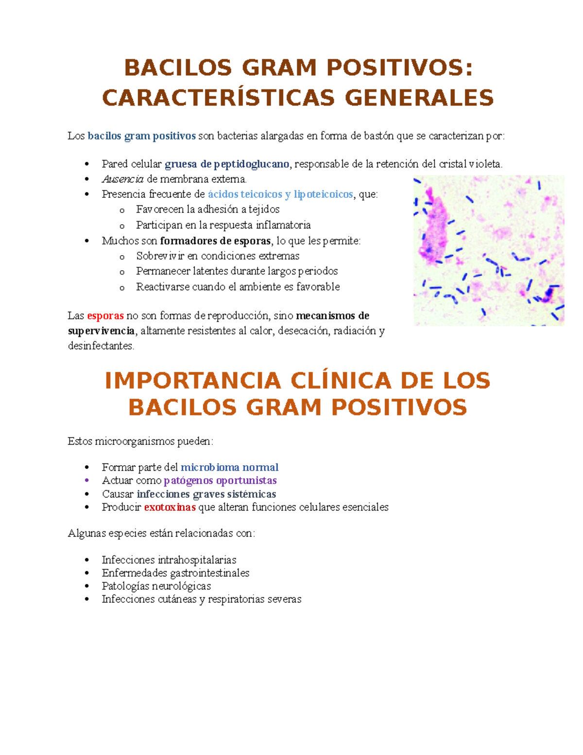 BACILOS GRAM POSITIVOS: CARACTERÍSTICAS Y RELEVANCIA CLÍNICA - Studocu