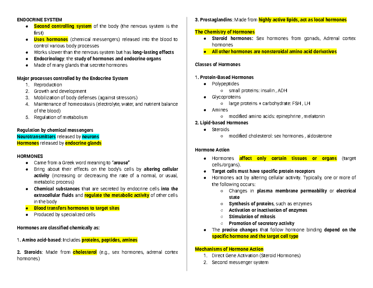 ENDOCRINE SYSTEM: Hormones, Functions, and Major Glands Overview - Studocu