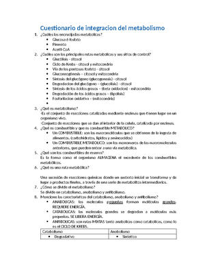 RUTA 1 Polioles - BIOQUIMICA - RUTA 1 LA RUTA DE LOS POLIOLES ¿Qué es ...