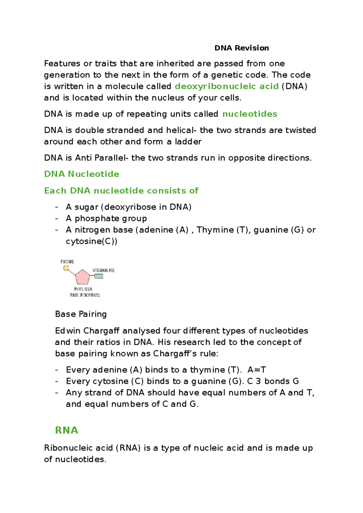 DNA Revision - Year 10 Biology Study Guide - Studocu