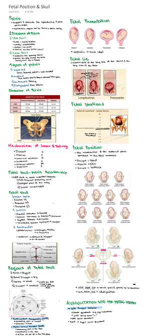 Maternal midterms - REVIEWER - WEEK 7: INTRAPARTAL CARE THEORIES OF ...